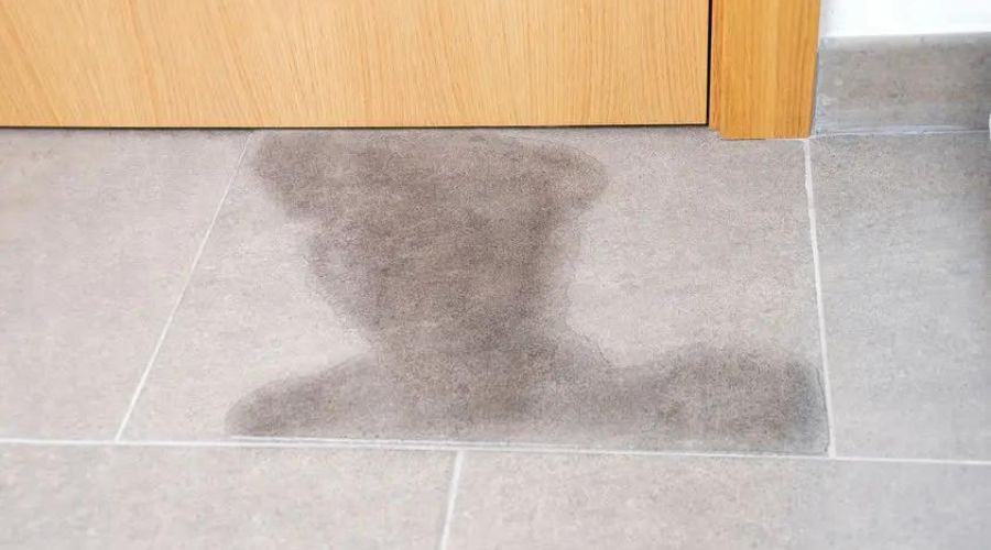 The Quick and Dirty About Slab Leaks - Total Comfort Solutions